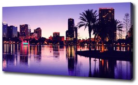 Wallmuralia Foto obraz na plátně Orlando USA 100x50