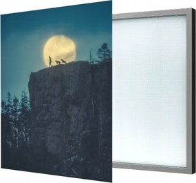 Podsvícený Tančící Obraz S Vlky rámeček stříbrný Elegance Slim 40x50 Led
