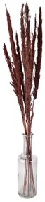 Sušené květy Hnědé 100 cm (10) – 100 cm