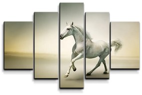 Sablio Obraz - 5-dílný Bílý kůň 2 - 125x90 cm