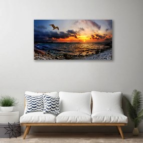 Obraz na plátně Racek Moře Pláž Krajina 140x70 cm