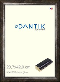 DANTIK rámeček 29,7x42 | IVANETE černá (Plexi Čiré)