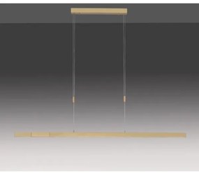 Paul Neuhaus 2568-60 - LED Stmívatelný lustr na lanku ADRIANA LED/14W/230V mosaz