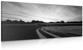 Obraz zapadající slunce nad krajinou v černobílém provedení Varianta: 100x50