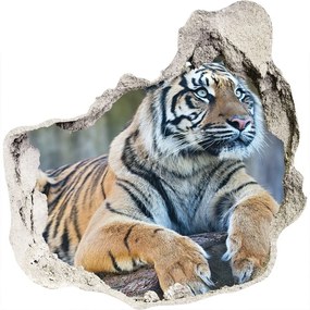 Wallmuralia Nálepka 3D díra na zeď Tygr 75x75 cm
