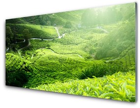 akrylový obraz Louka Příroda 125x50 cm