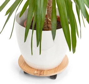 Stojan pod květináč, okrągła, Ø35 cm, ZELLER