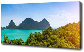Wallmuralia Foto obraz na plátně Panorama Thajsko 100x50