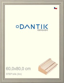 DANTIK rámeček 60x80 | STEP bílá (Plexi Čiré)