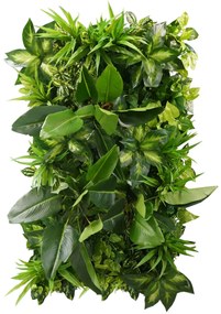 Vertical garden Tropical Freshness
