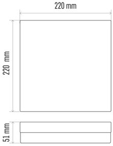 Emos lighting LED přisazené svítidlo TORI, ø 220 mm/d. 220 mm, 15W Teplota světla: 4000 K, Tvar: Čtveraté