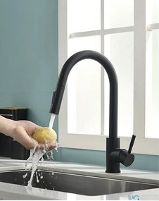 Kuchyňská baterie EYN NT1354 s výsuvnou víceproudovou sprškou, matná černá