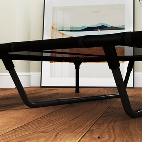 PawHut Přenosný Zdvižený Pelíšek pro Psy a Kočky s Prodyšnou Síťovinou a Oxfordskou Tkaninou pro Vnitřní a Venkovní Použití 122x92x23 cm Černý