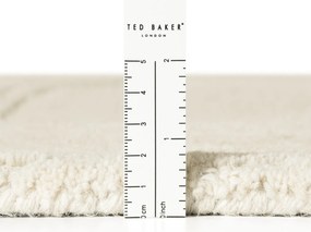 Ted Baker, Kusový koberec Ted Baker Kensington 106399 Cream, 200x300, bílá, kancelář