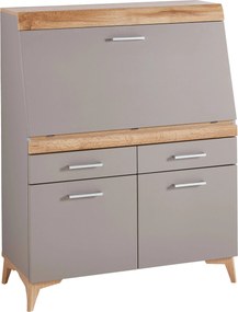 XXXLutz SEKRETÁŘ, 98/124/39,6 cm Carryhome - 002737027303