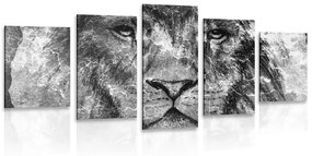 5-dílný obraz tvář lva v černobílém provedení
