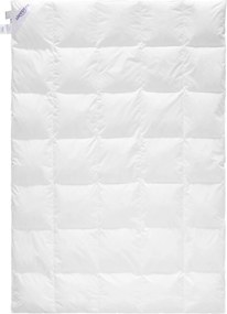XXXLutz CELOROČNÍ PŘIKRÝVKA, 140/200 cm, prachové peří, peří Sleeptex - Přikrývky - 003286014701