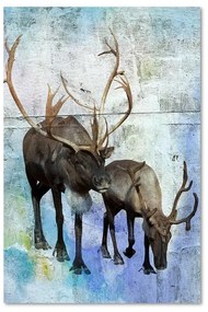 Obraz na plátně Jelen Sob Zvířata - 40x60 cm