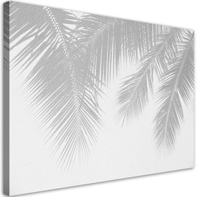 Obraz na plátně, Šedé palmové listy - 100x70 cm