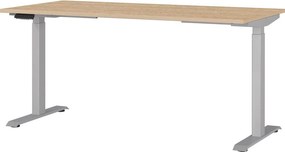 Polohovací pracovní stůl s elektricky nastavitelnou výškou s deskou v dubovém dekoru 80x160 cm Jet – Germania