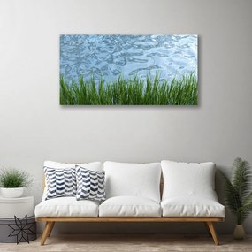 Obraz na plátně Tráva Voda Příroda 125x50 cm