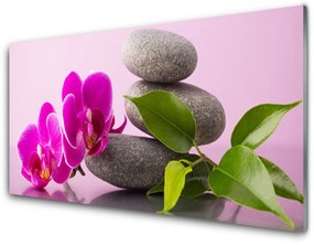 Obraz na skle Květ Kameny Zen Rostlina 120x60 cm