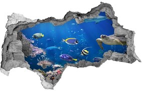 Wallmuralia Díra 3D fototapeta nástěnná Korálový útes 95x73 cm