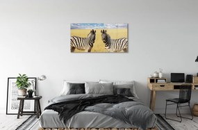 akrylový obraz zebra box 100x50 cm