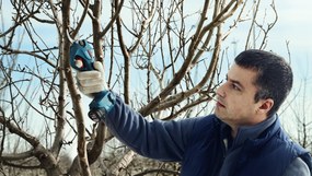 Bosch Pro Pruner Professional 0.601.9K1.020
