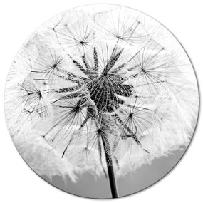 Kulatý obraz Síla přírody - černobílý detailní záběr na mouchu ve větru