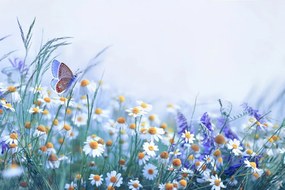 Vícedílný obraz Motýl A Divoké Květiny Nedostatek Nedostatek Přírodní plátno 180x120