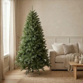 Smrk Kavkazský 180 cm