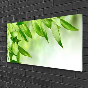 Obraz na skle Zelené Listy Příroda 125x50 cm