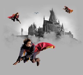 AG Design vliesová fototapeta FTD4P 5095 Harry Potter 300 x 270 cm