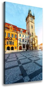 Wallmuralia Vertikální Foto obraz canvas Praha Česká republika 50x100