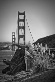 Umělecká fotografie San Francisco Golden Gate Bridge, Melanie Viola, (26.7 x 40 cm)