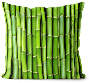 Polštář Bambus (Velikost: 55 x 55 cm)