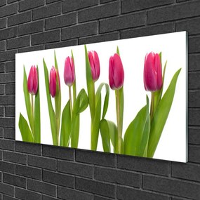 Obraz na skle Tulipány Květiny Rostlina 120x60 cm