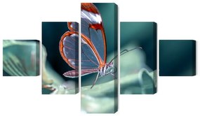 Vícedílný obraz Skleněný Motýl Zblízka Nedostatek Nedostatek Plátno Canvas 150x90