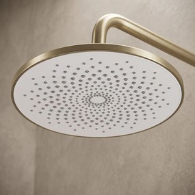 Rea, Kulatá dešťová sprcha REA JS-021 Gold Brush, REA-P0391