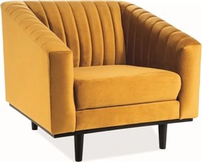 Casarredo - Komfort nábytek Designové křeslo ASPREY 1 VELVET, žlutá