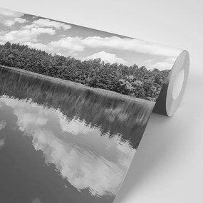 Samolepící fototapeta černobílé jezero v létě