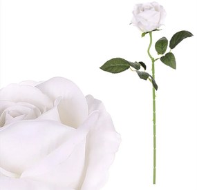 Růže, barva bílá, samet.