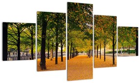 Obraz aleje podzimních stromů (125x70 cm)
