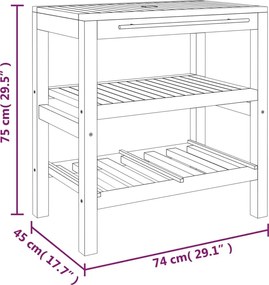 vidaXL Koupelnová skříňka se 2 policemi 74 x 45 x 75 cm masivní dřevo [353955]