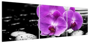 Obraz květů orchideje (150x50 cm)