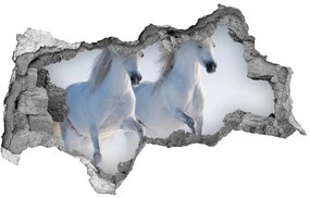 Wallmuralia Díra 3D fototapeta na stěnu Dva koně ve sněhu 95x73 cm
