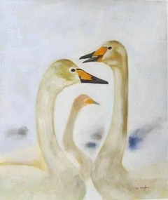 Tři labutě - 60 x 50 cm