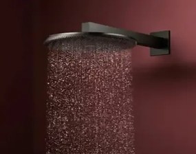 Hansgrohe - Hlavová sprcha, průměr 30 cm, EcoSmart, kartáčovaný černý