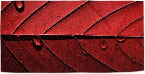 Sablio Ručník Červený list - 50x100 cm